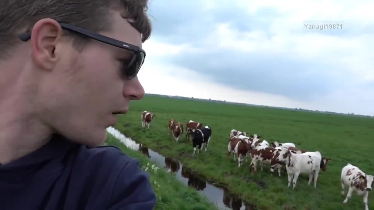 The Burping Cow Whisperer - World Domination - Coub - The Biggest Video Meme Platform