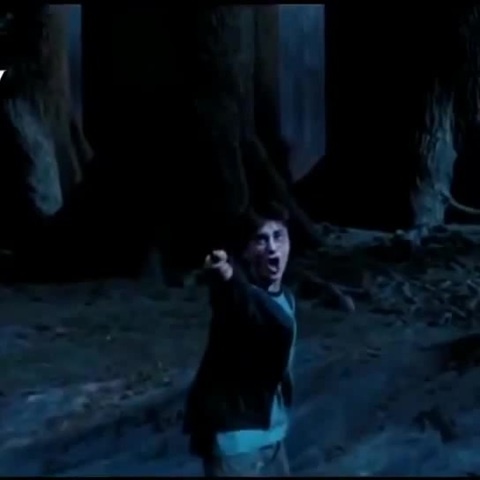 Expecto Patronum! - Coub - The Biggest Video Meme Platform