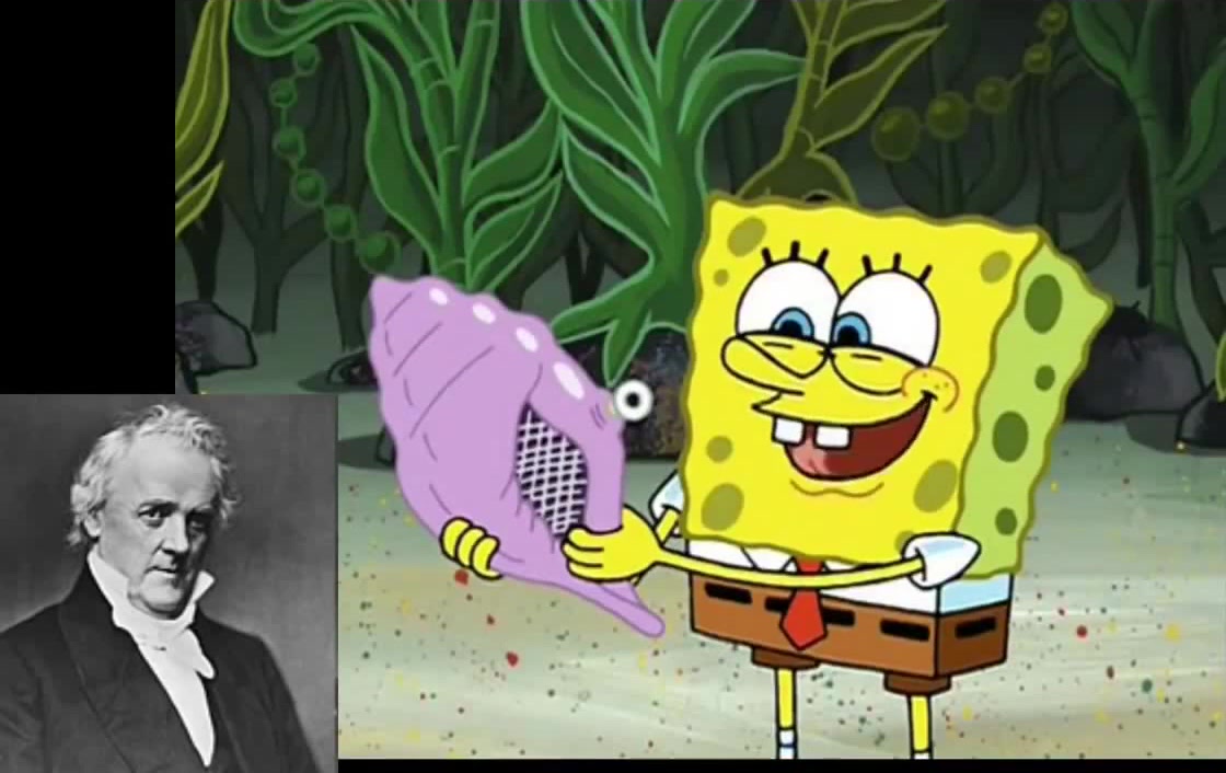 Presidents of the USA portrayed by SpongeBob - Coub - The Biggest Video ...