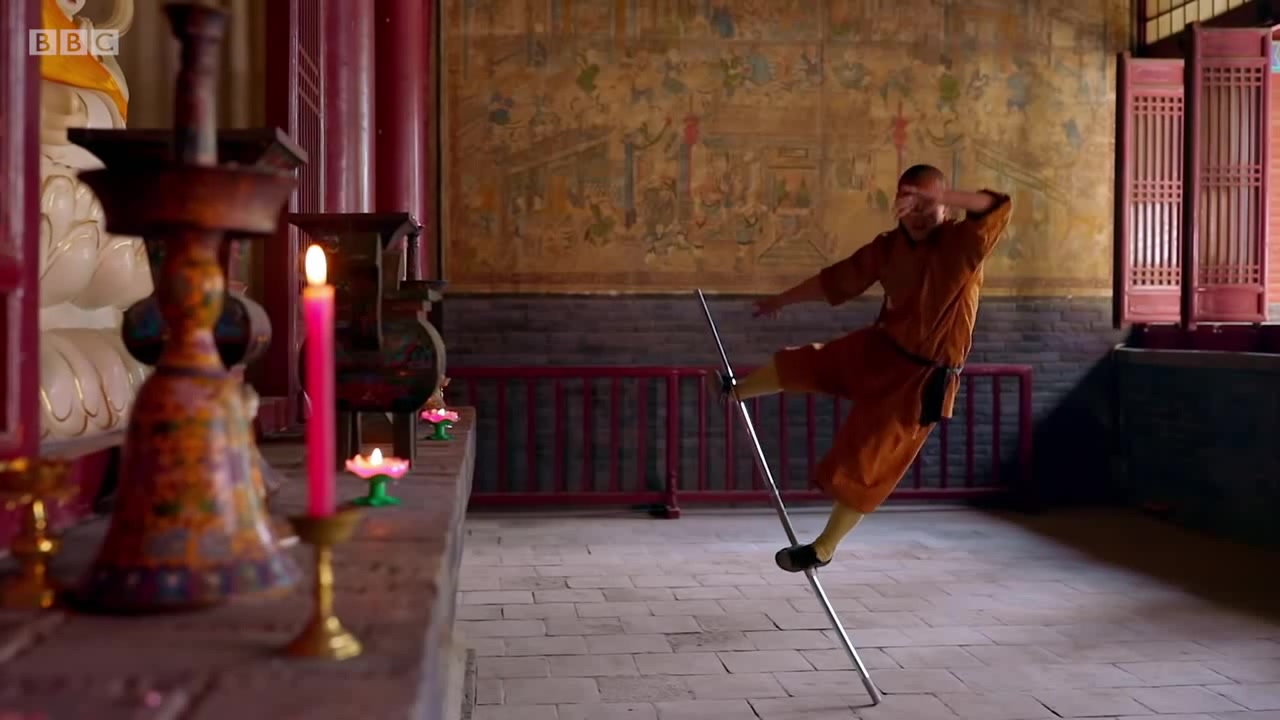 monkey going up the tree - Coub - The Biggest Video Meme Platform