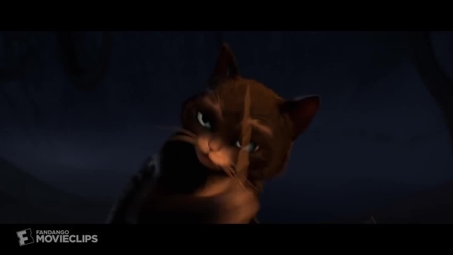 Rambunctious Kitty Softpaws - Coub - The Biggest Video Meme Platform