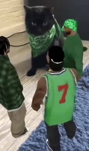 Grove street cats forever - Coub - The Biggest Video Meme Platform