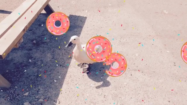 Duck Tails - Coub - The Biggest Video Meme Platform