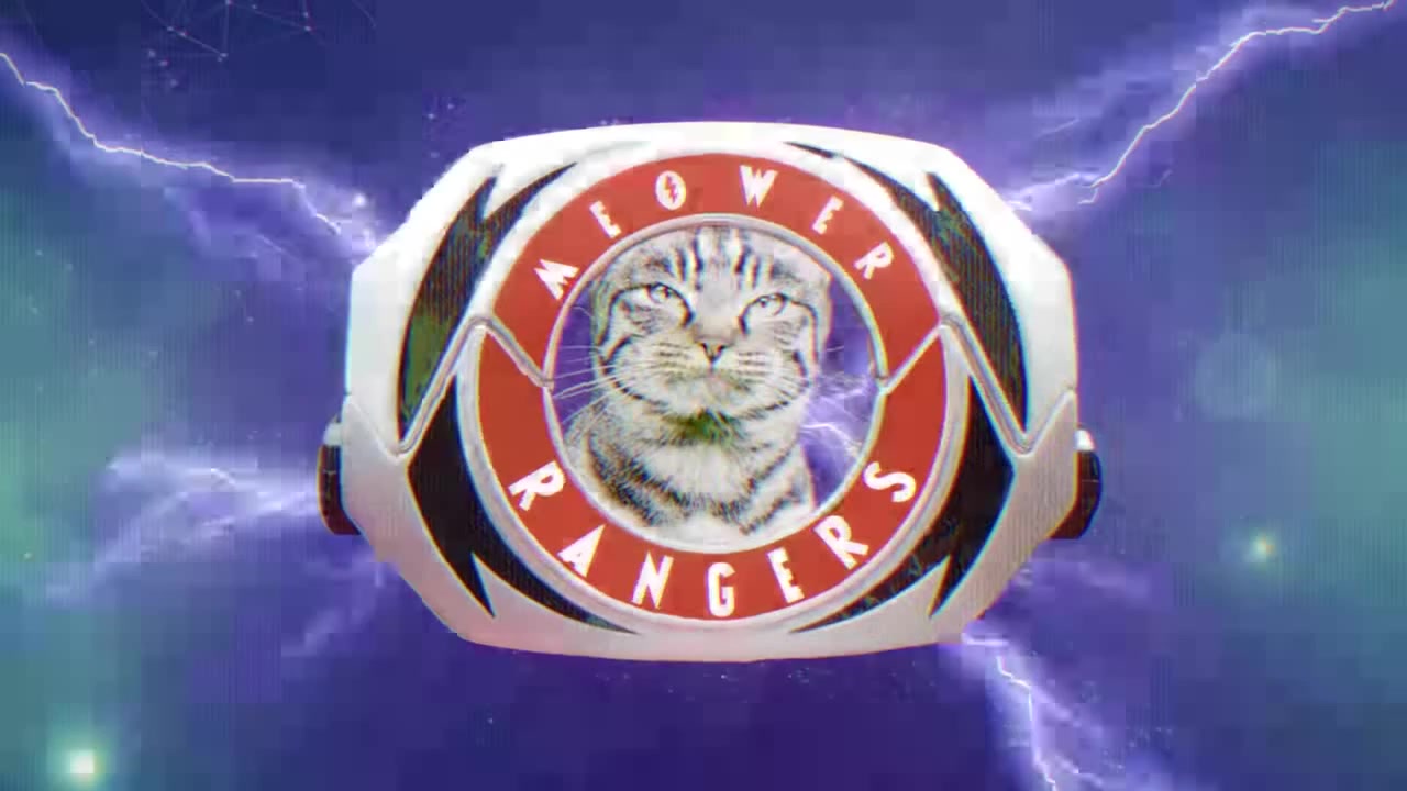 Meow meow Rangers (go go power cats) - Coub - The Biggest Video Meme ...