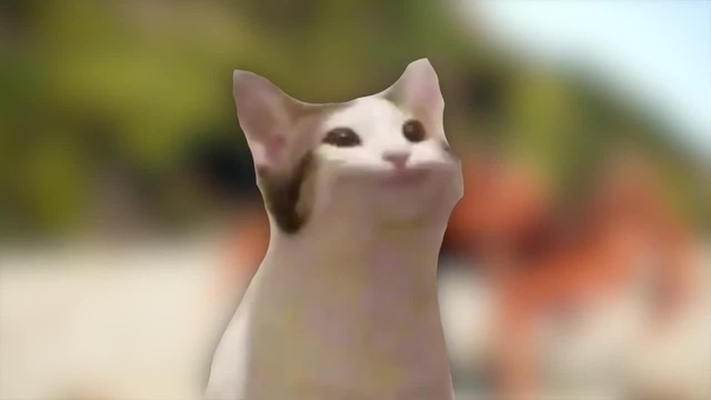 cat rave - Coub - The Biggest Video Meme Platform