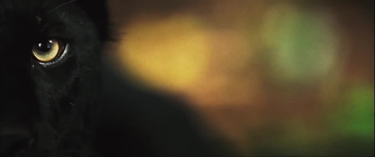 Apocalypto - Coub - The Biggest Video Meme Platform