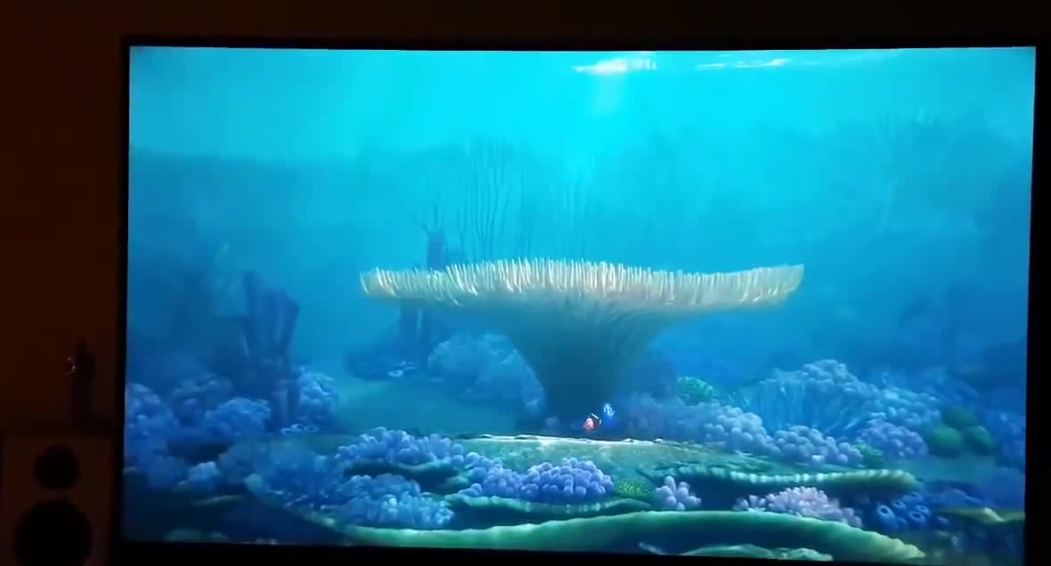 Swedish ending of Finding Dory - Coub - The Biggest Video Meme Platform