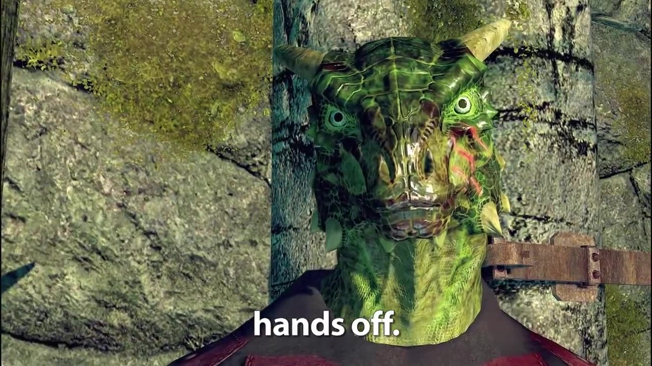 Gamer Poop: Skyrim (#11) - Coub - The Biggest Video Meme Platform