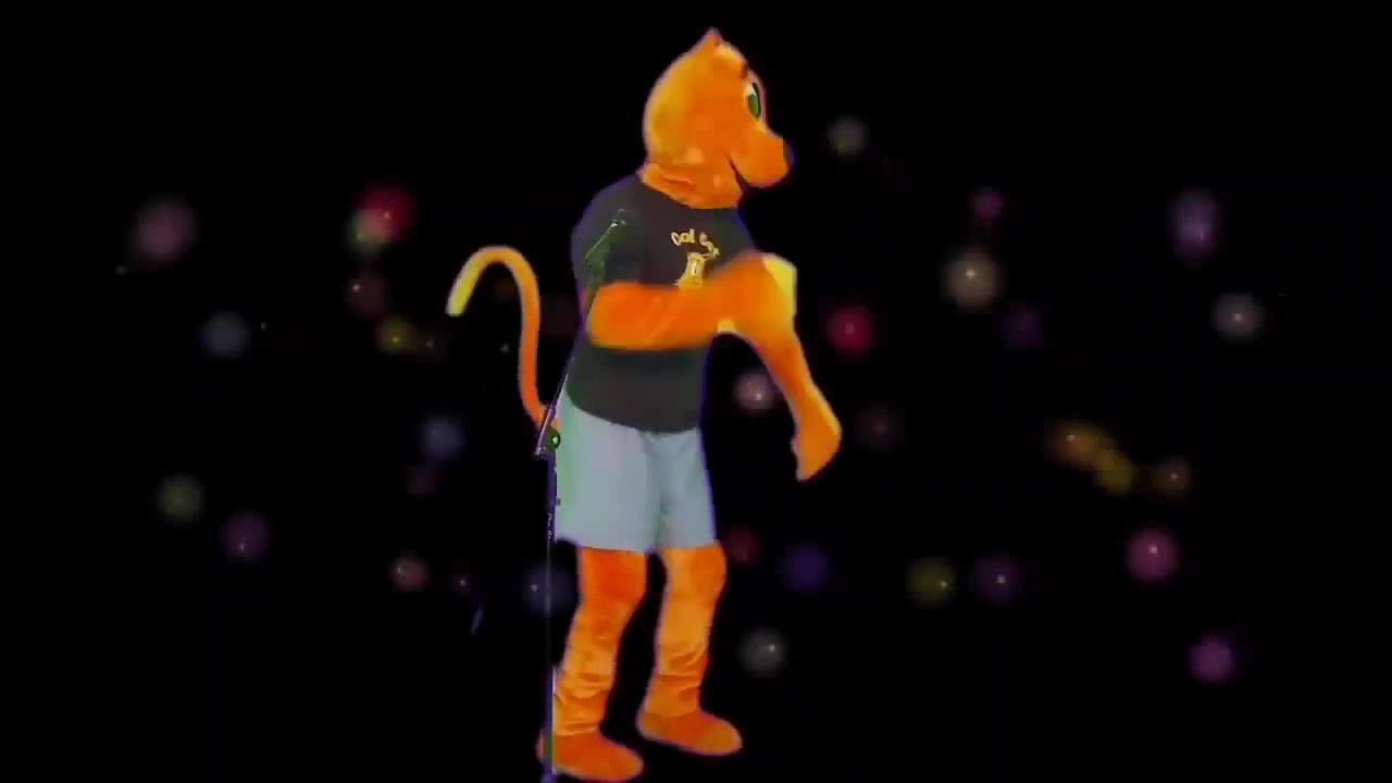 cool cat loves to boogie-woogie - Coub - The Biggest Video Meme Platform