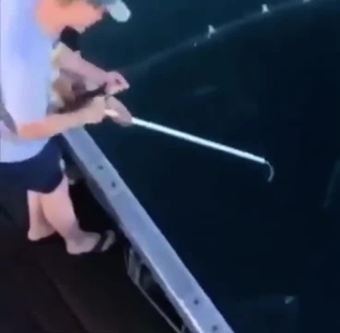 love me some fishing - Coub - The Biggest Video Meme Platform