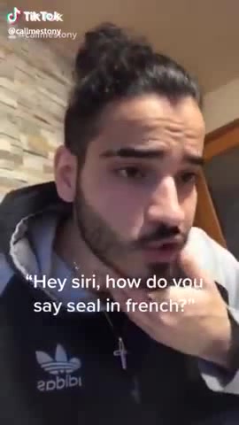 Baby phoque with his ugly mother phoque - Coub - The Biggest Video Meme ...