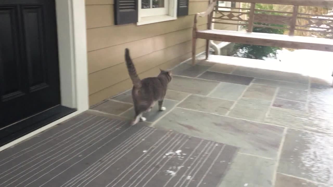 I don't love this but eh - Coub - The Biggest Video Meme Platform