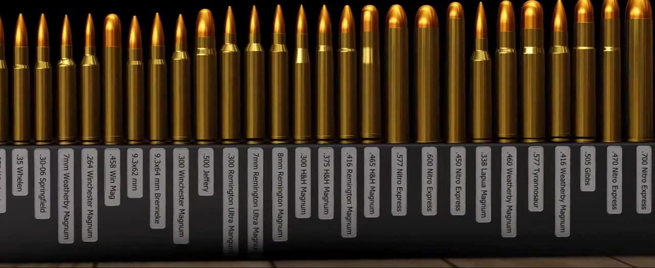 Great Rifle Ammunition Comparison, 90 calibers from .22 flobert to 20 ...
