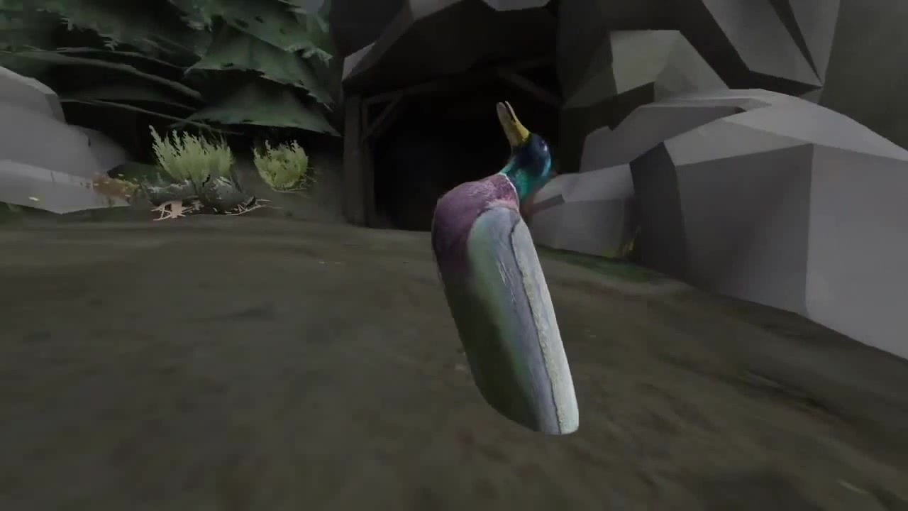 Duck.exe has stopped working - Coub - The Biggest Video Meme Platform