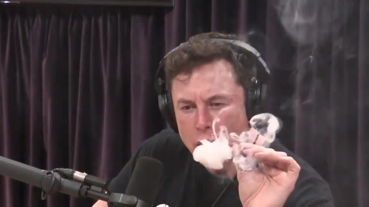 Elon Musk smoking blunts - Coub - The Biggest Video Meme Platform