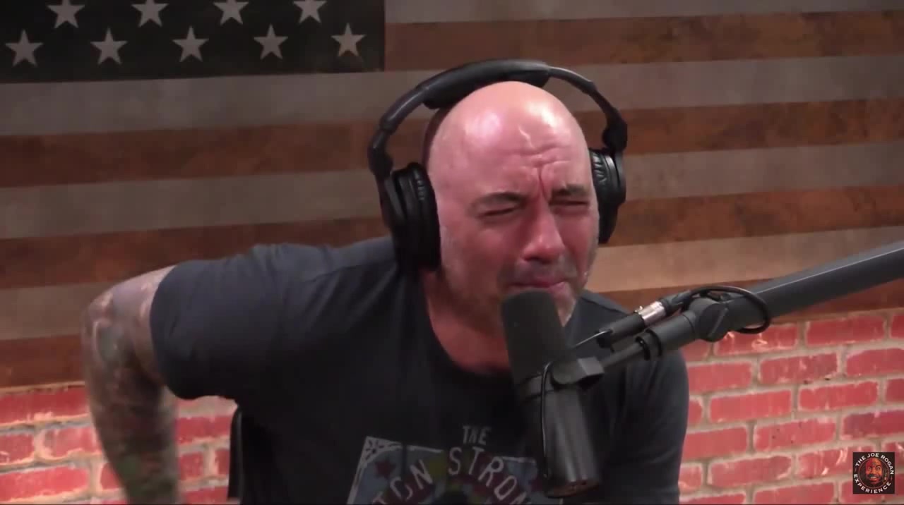 Joe Rogan sample for electronic music - Coub - The Biggest Video Meme ...