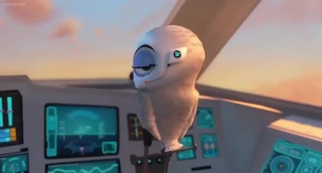 Eva the Snowy Owl - Coub - The Biggest Video Meme Platform