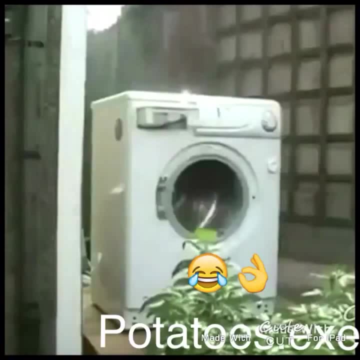 How 2 wreck ur washing machine VC: Unamused Hopps - Coub - The Biggest ...