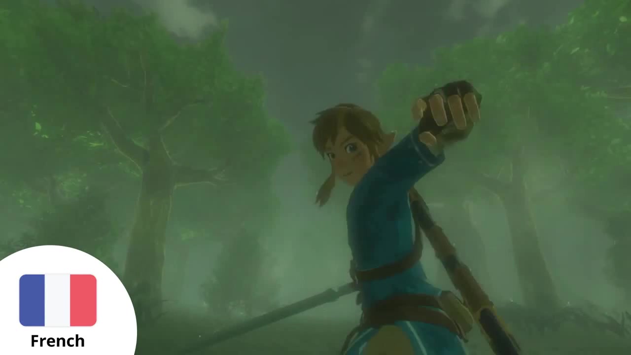 Zelda crying in 8 different languages - Zelda Breath of the Wild - Coub ...