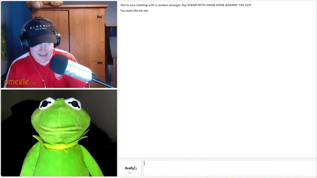 Kermit on Omegle - Coub - The Biggest Video Meme Platform