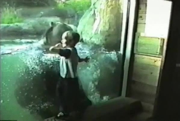 Bear chasing a little kid - Coub - The Biggest Video Meme Platform