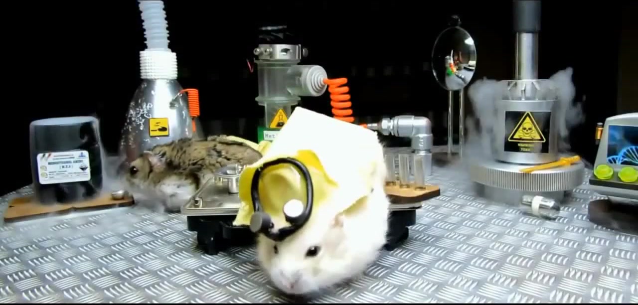 very breaking bad hamsters - Coub - The Biggest Video Meme Platform