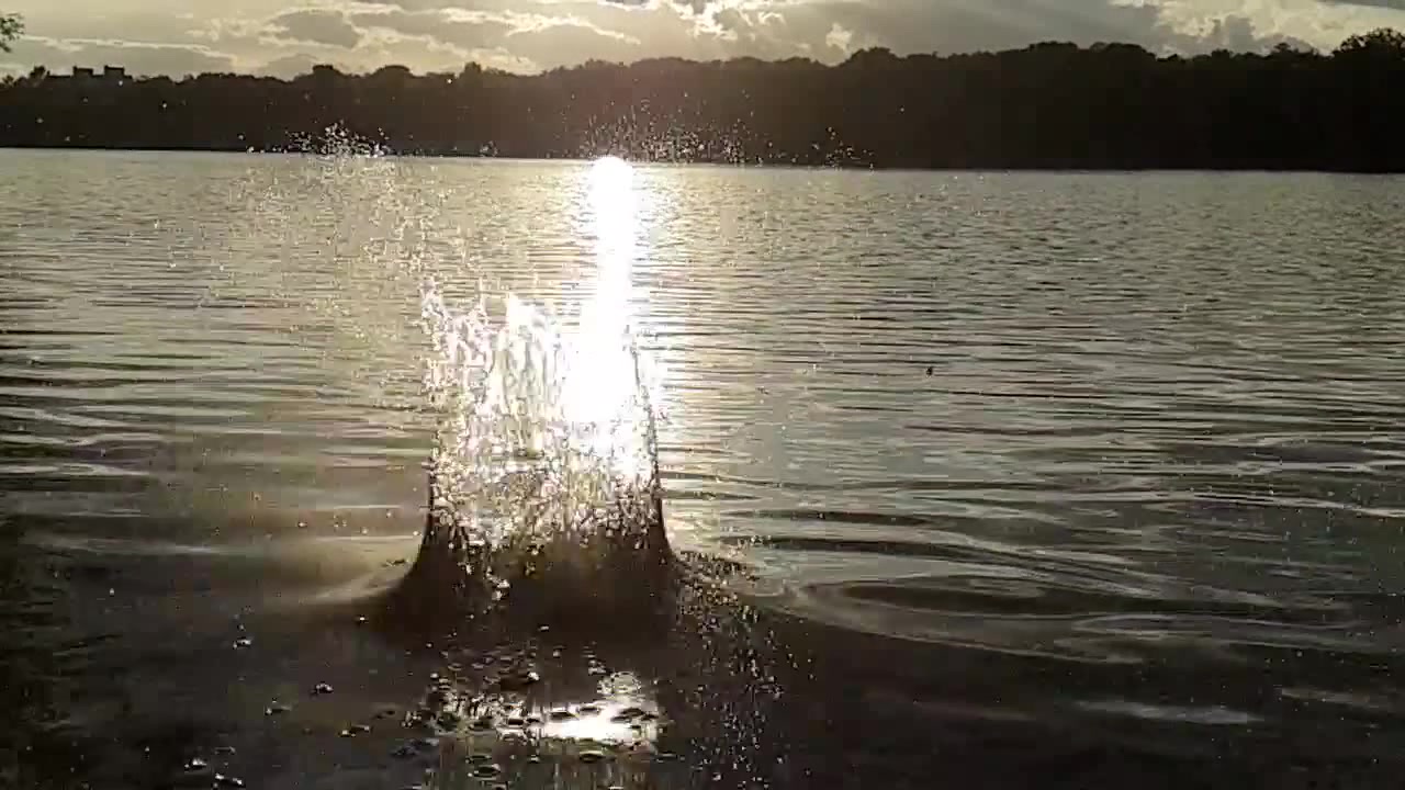 Drop_//// - Coub - The Biggest Video Meme Platform