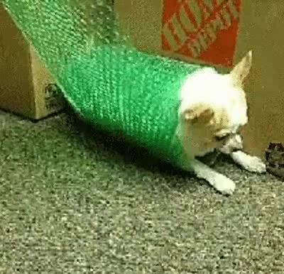 Spinning Around... - Coub - The Biggest Video Meme Platform