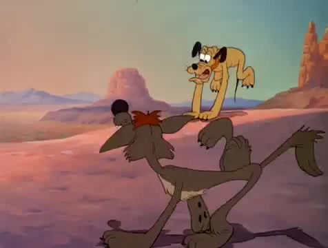 Pluto chased the fake leg hurt with the coyote - Coub - The Biggest ...