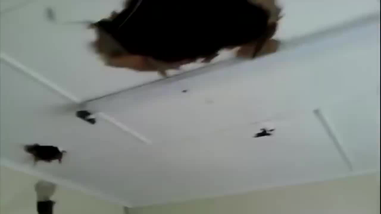 Guy Falling Through Ceiling | Coffin dance | Funeral Dancers ...