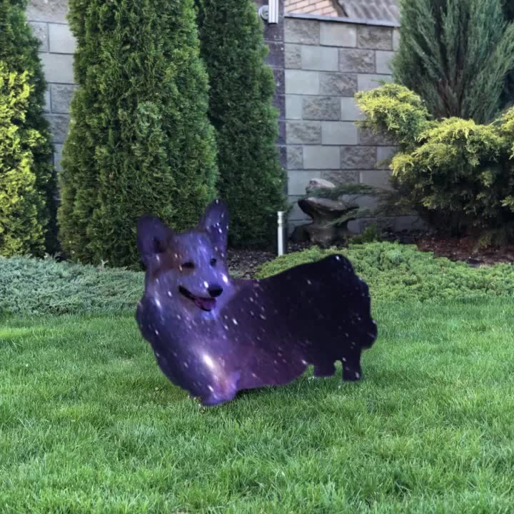 Space dog - Coub - The Biggest Video Meme Platform