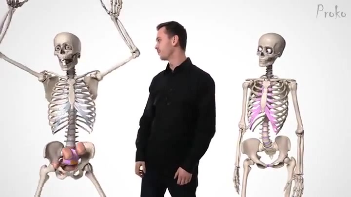 Skeleton panic - Coub - The Biggest Video Meme Platform