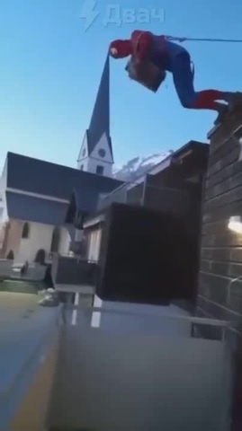 Spider fail - Coub - The Biggest Video Meme Platform