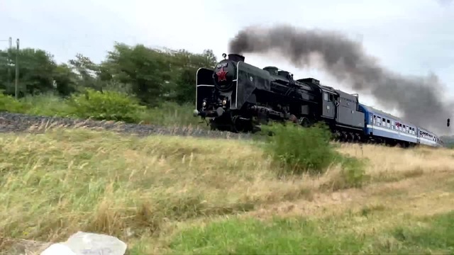 424 247 Bivaly - Coub - The Biggest Video Meme Platform