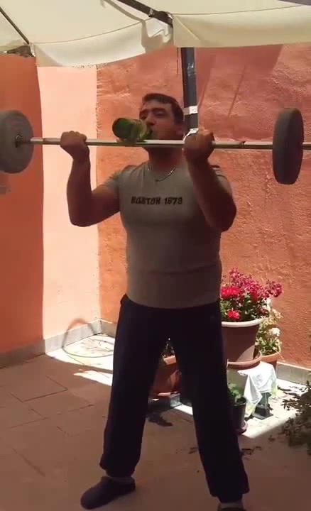 Beer Gym - Coub - The Biggest Video Meme Platform