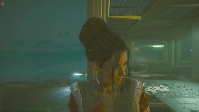 Panam Palmer - Coub - The Biggest Video Meme Platform