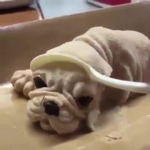 Dog eats dog - Coub - The Biggest Video Meme Platform