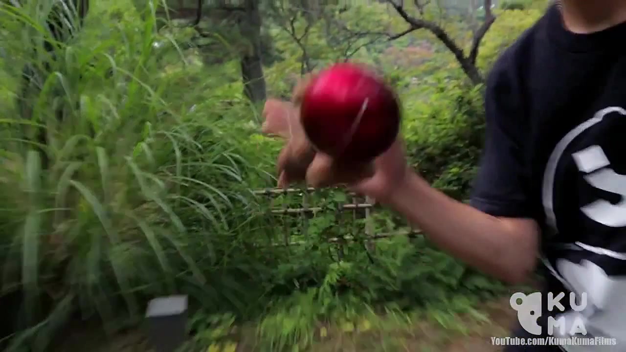 Kendama Ninja! - Coub - The Biggest Video Meme Platform