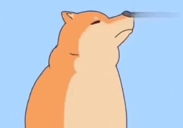 Doggo Said Bonk You Out - Coub - The Biggest Video Meme Platform