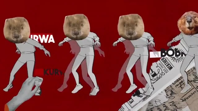 Бобр курва KURWA BÓBR - Coub - The Biggest Video Meme Platform
