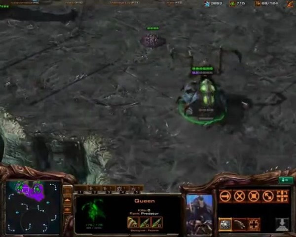 StarCraft 2 Animation - Queen spawning creep tumor - Coub - The Biggest ...