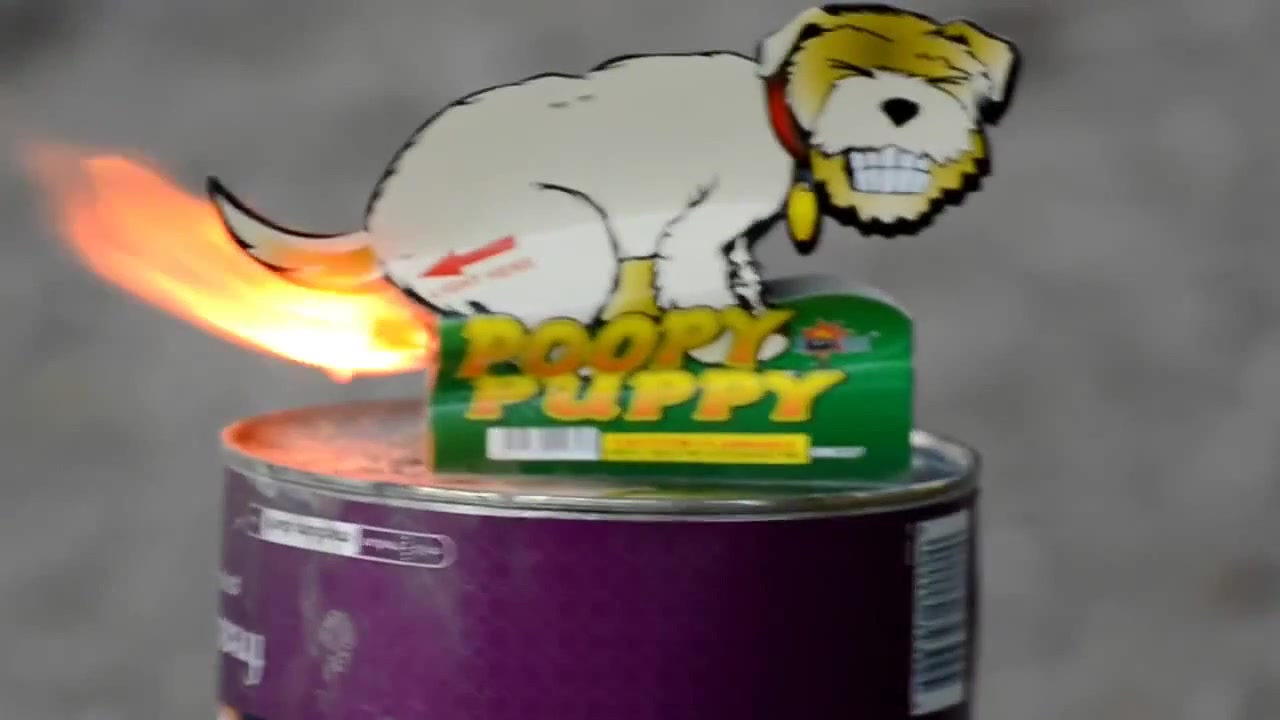 Poopy Puppy Fireworks - Coub - The Biggest Video Meme Platform