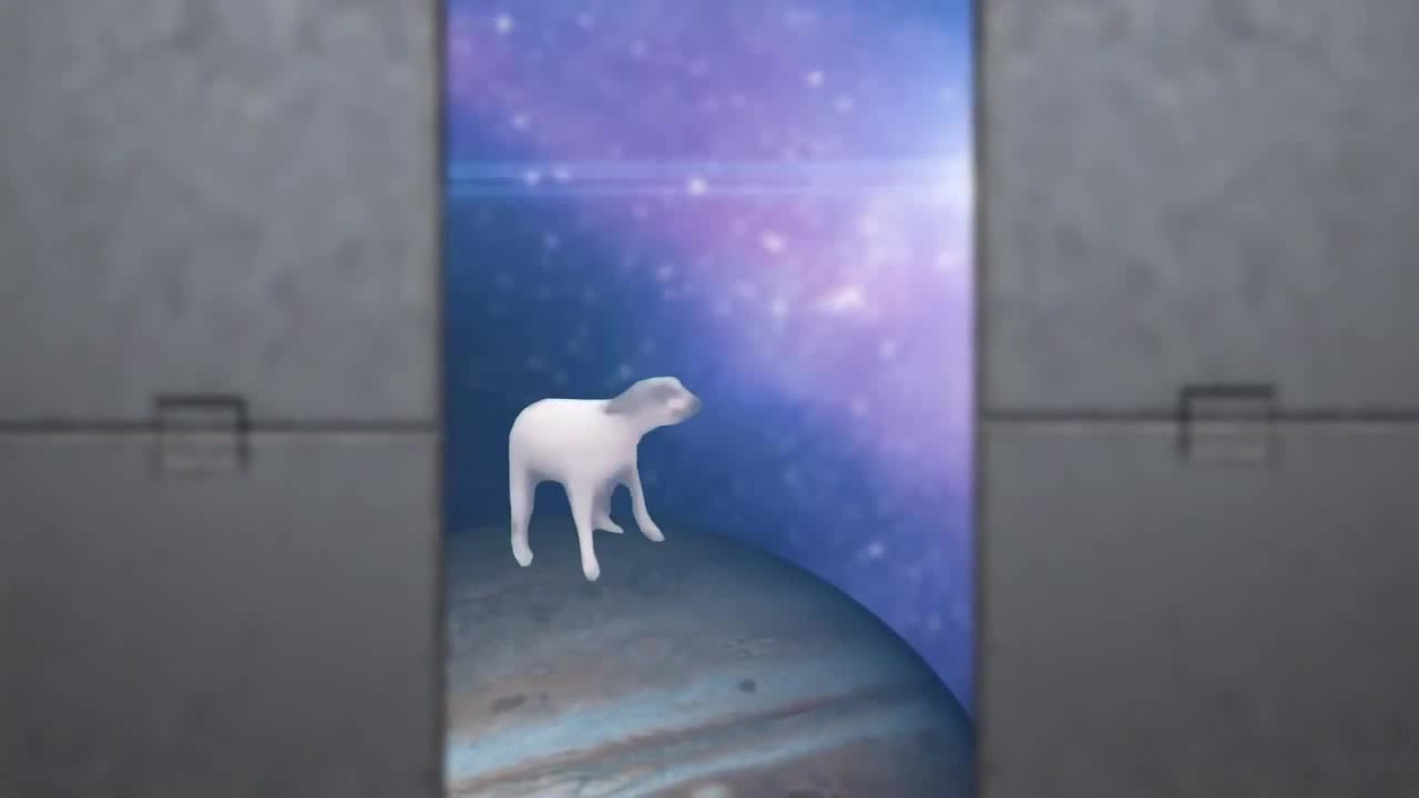 Dancing dog - Shooting stars - Coub - The Biggest Video Meme Platform