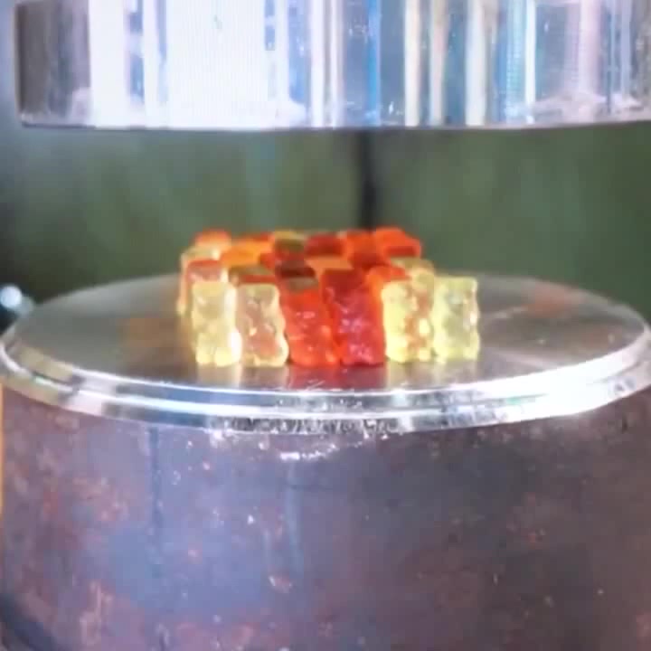 Mernin ☕️🐻🐻🐻🐻🐻 - Coub - The Biggest Video Meme Platform