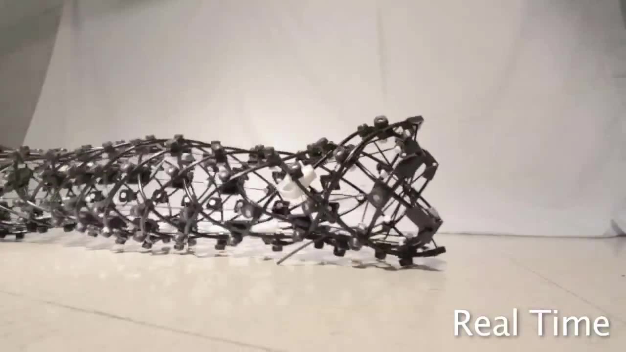 robot worm - Coub - The Biggest Video Meme Platform