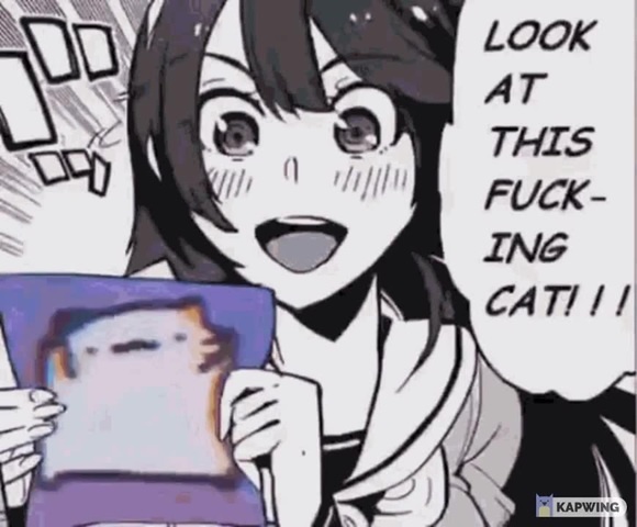 DAJ KURWIE MIODU - Coub - The Biggest Video Meme Platform