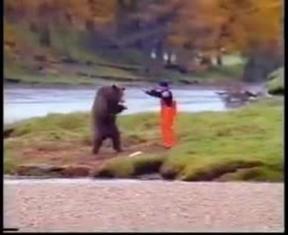 Man vs bear - Coub - The Biggest Video Meme Platform