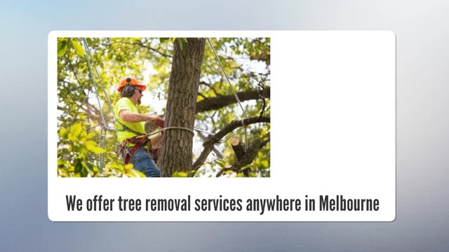 Tree removal Melbourne - Welcome to our tree cutting business. - Coub ...