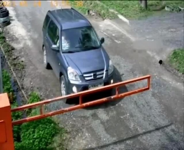 Hurry Up and Fail - Coub - The Biggest Video Meme Platform