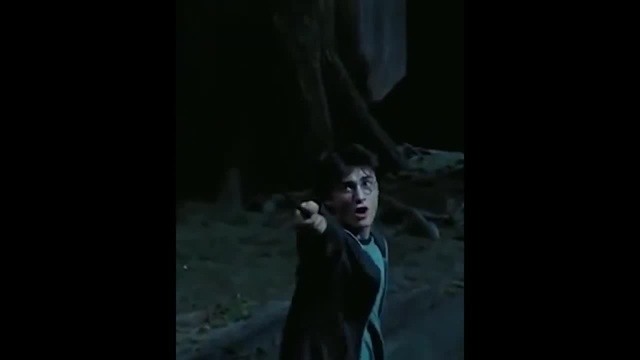 Expecto patronum, KURWA - Coub - The Biggest Video Meme Platform